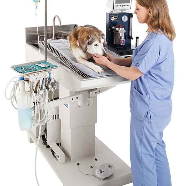 Olympic Hi-Lo Wet Table | Vetland Medical